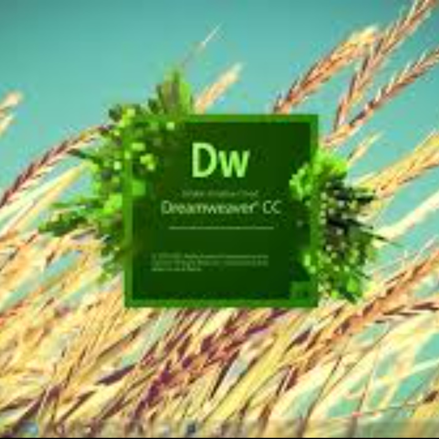 Dreamweaver Cs6 Serial Number